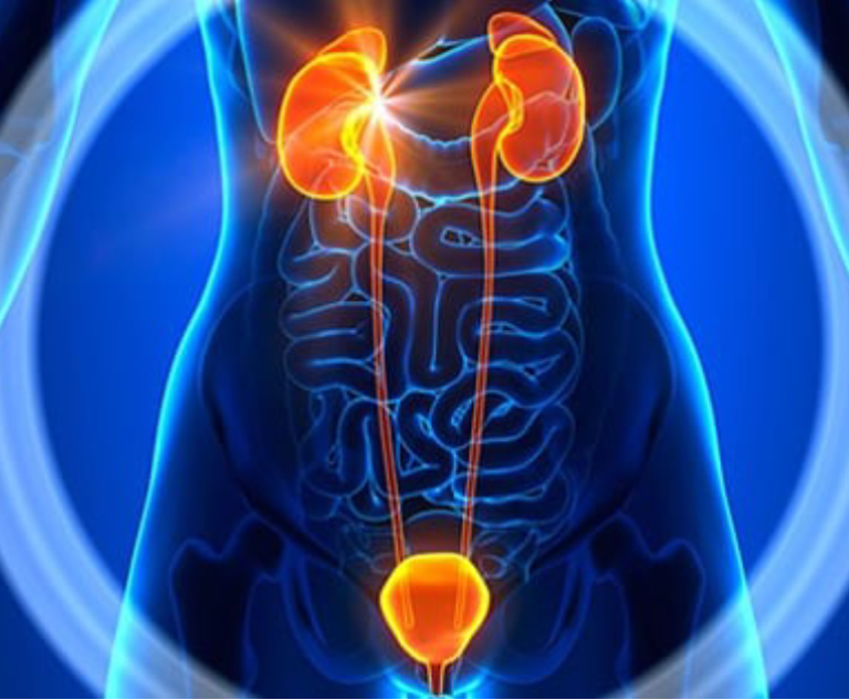 General Hospital Ernakulam – എന്നും ജനങ്ങളോടൊപ്പം